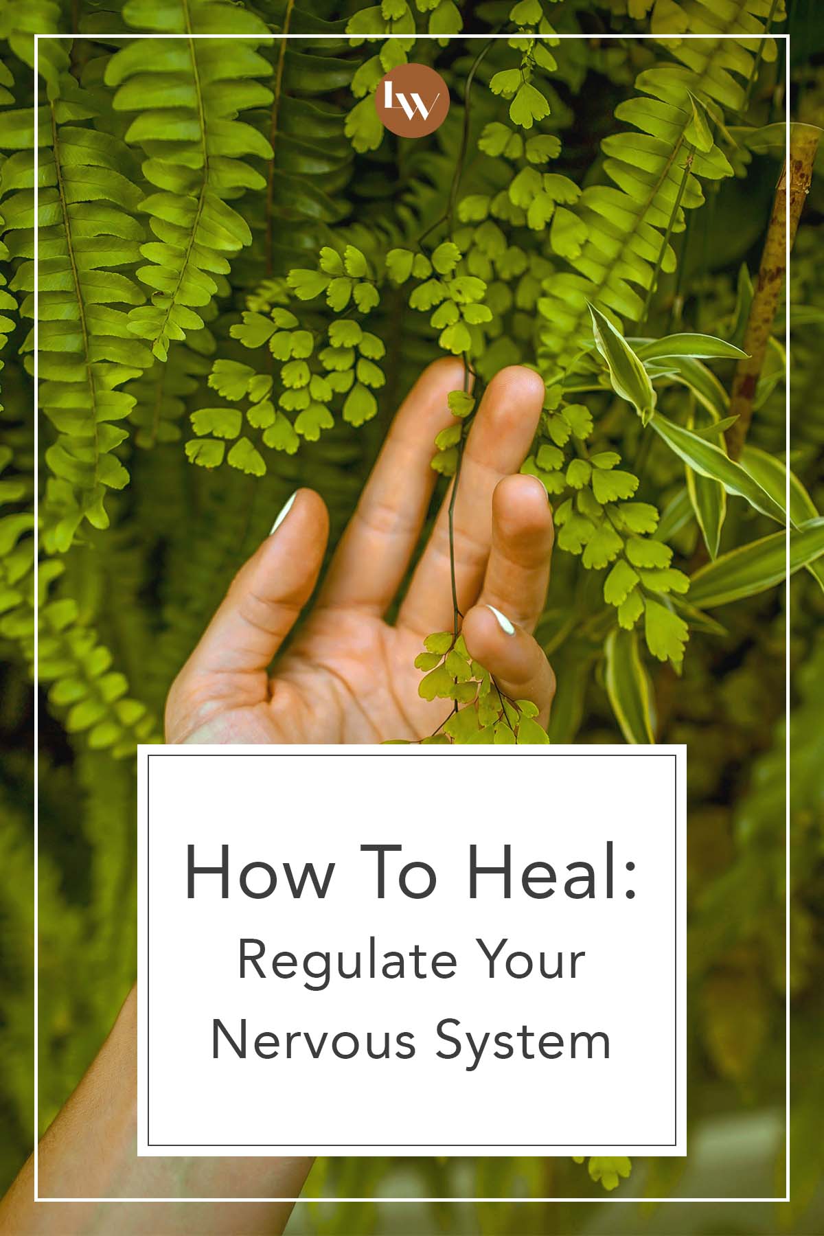 How You Heal: Regulate Your Nervous System - The Living Well