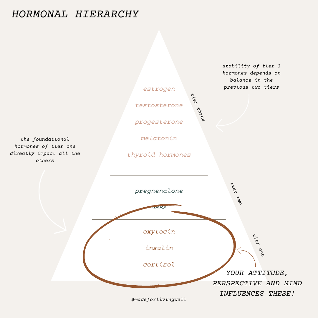 The Three Most Common (Root) Causes of Hormone Imbalance - The Living Well